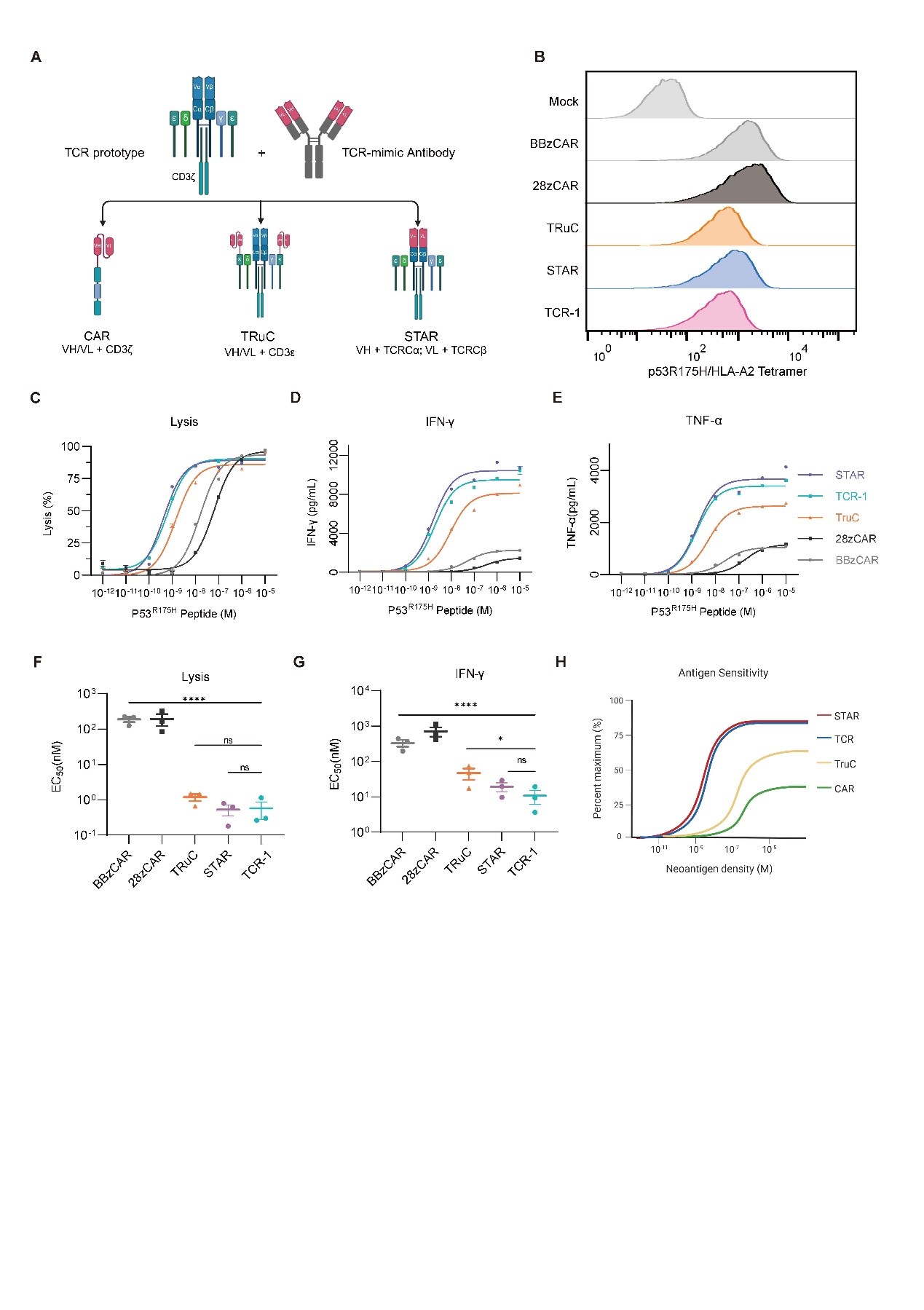 清华大学免疫所林欣团队在《Cell Reports》发文报道新型T细胞嵌合受体STAR高效靶向低丰度肿瘤新抗原